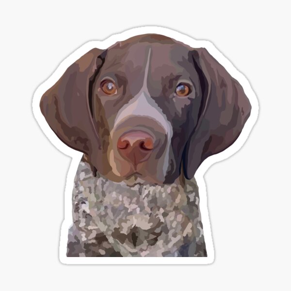 "Jake" Sticker by KatsDogs | Redbubble