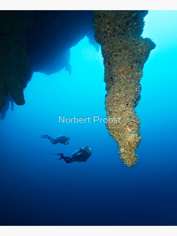 Blue Hole Belize Kitchen Apron