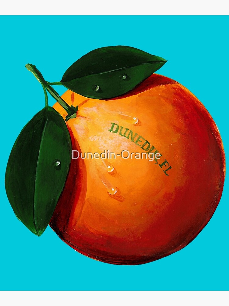"Steve Spathelf Original Dunedin Florida Orange" Framed Art Print for ...