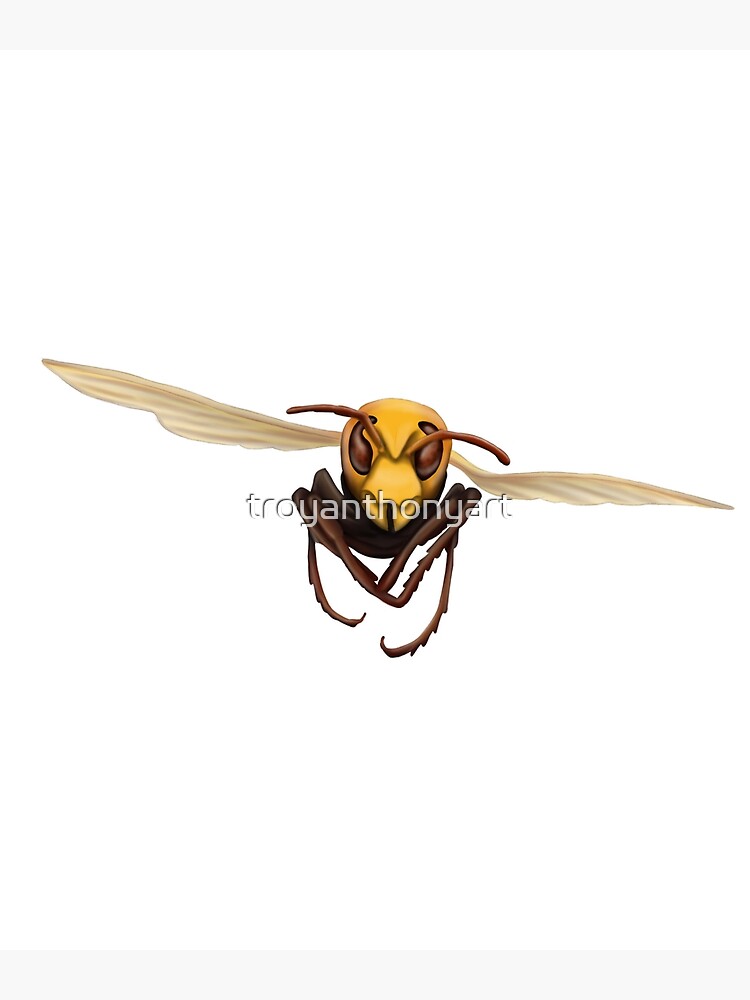 "Murder Hornet / Asian Giant Hornet" Art Print by troyanthonyart ...