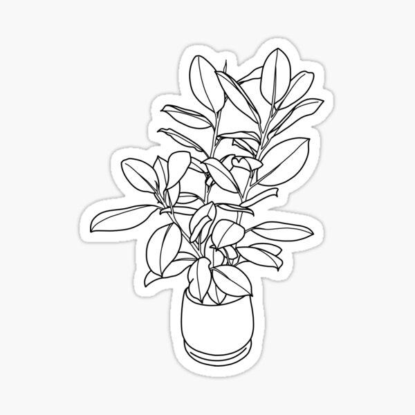 "ficus elastica, uncolored" Sticker for Sale by natureworshxp | Redbubble