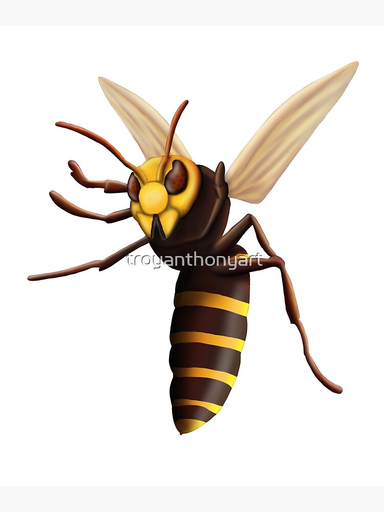 "Murder Hornet / Asian Giant Hornet" Art Print by troyanthonyart ...