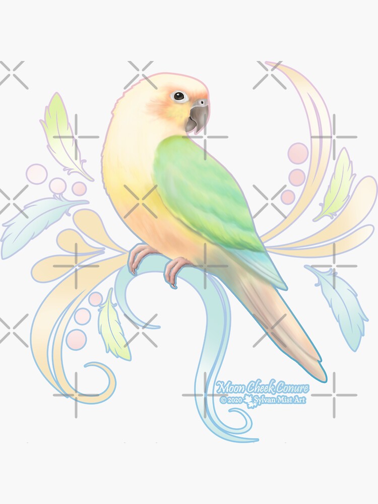 "Moon Cheek Conure" Sticker for Sale by sylvanmist | Redbubble