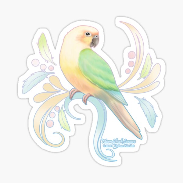 "Moon Cheek Conure" Sticker for Sale by sylvanmist | Redbubble