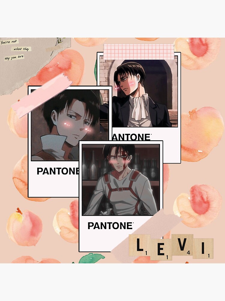 "Levi Collage:)" Sticker for Sale by smmcdaniel | Redbubble