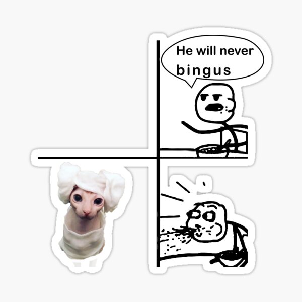 "Bingus cat meme" Sticker for Sale by Ashi17 | Redbubble