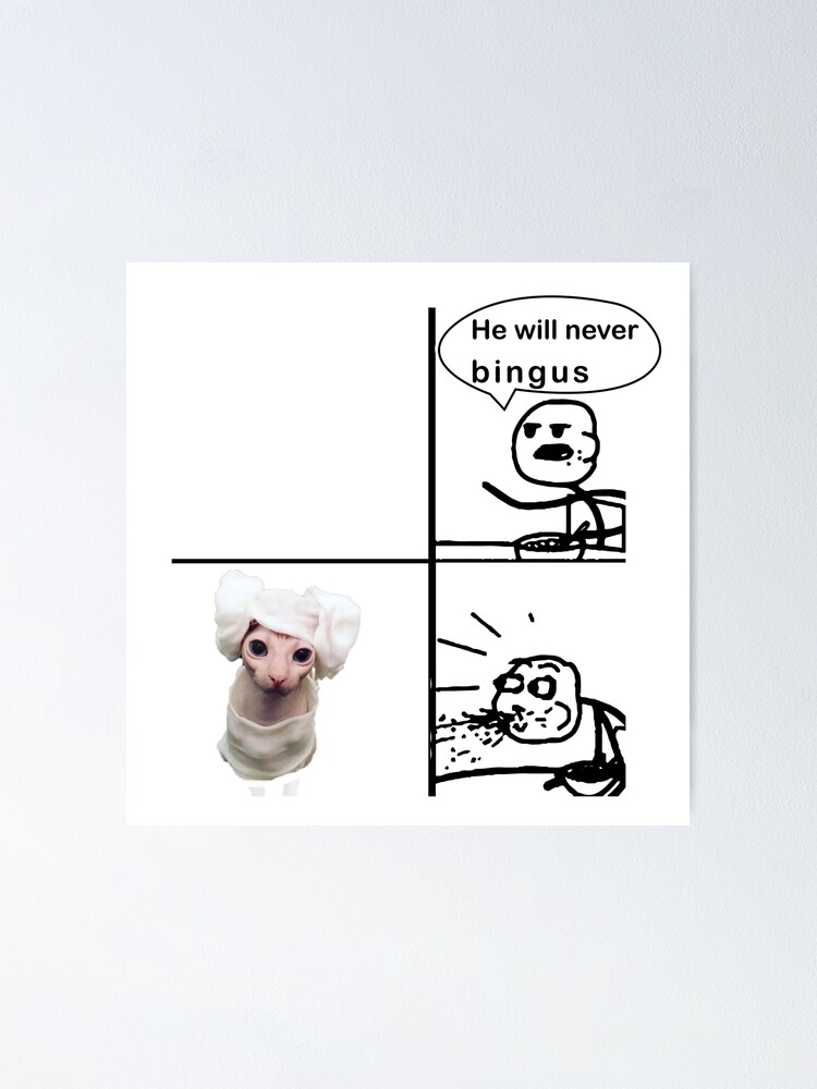 "Bingus cat meme" Poster by Ashi17 | Redbubble