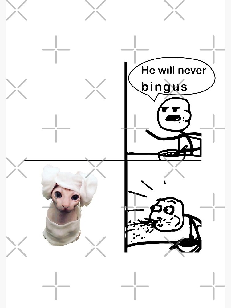 "Bingus cat meme" Spiral Notebook for Sale by Ashi17 | Redbubble