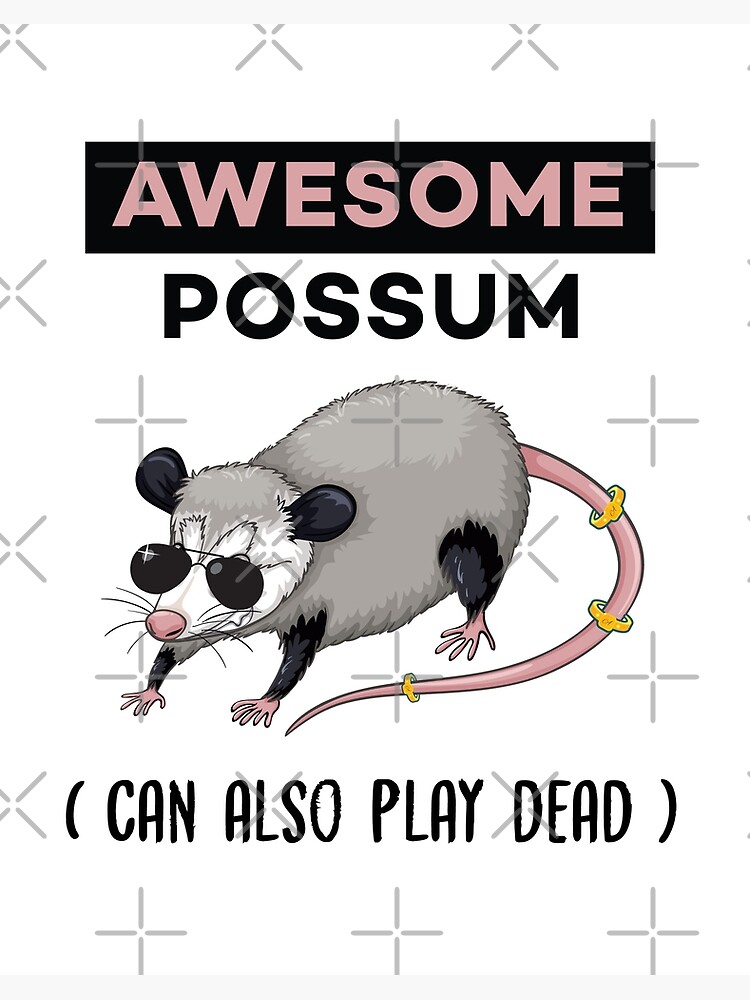 Dead Possum Memes The Best Possum Memes :) Memedroid