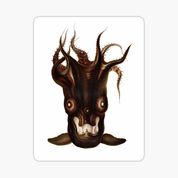 "Historical Vampire Squid Illustration - Vampyroteuthis infernalis ...