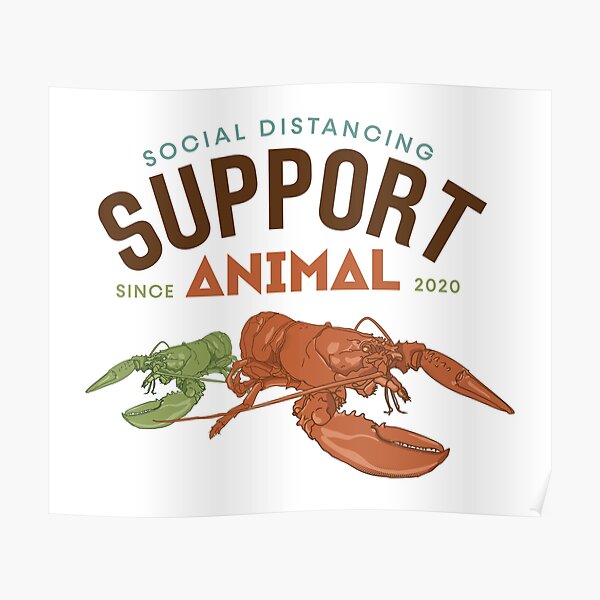 "Animal Support | Lobster | Social Distancing Support Animal Since 2020 ...