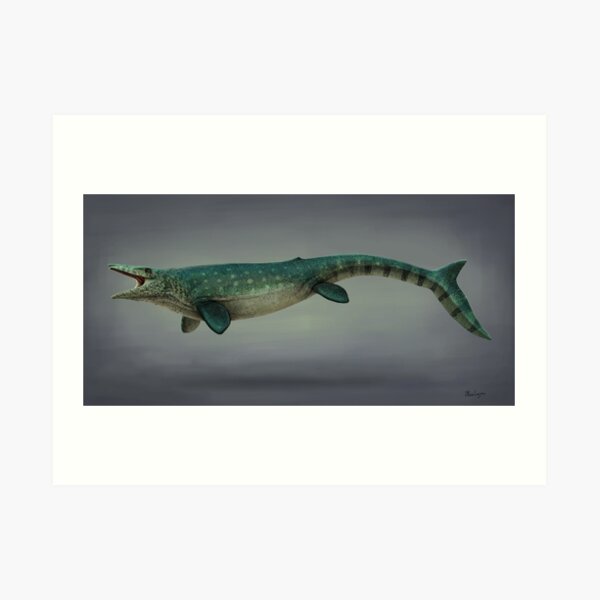 "TYLOSAURUS" Art Print by mariolanzas | Redbubble