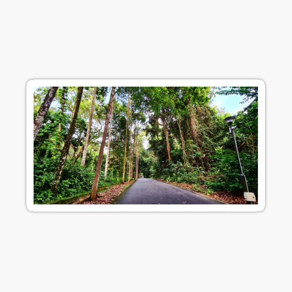 "Unknown Path" Sticker for Sale by TheSillyStikman | Redbubble