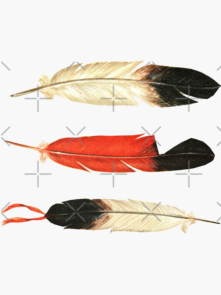 "Feather Sticker Pack - Native American Headdress Feathers " Sticker ...