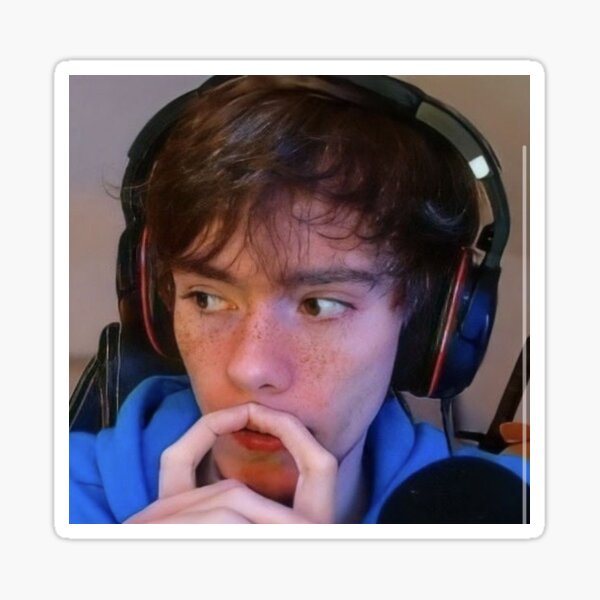 "Fundy" Sticker for Sale by Ayyycooldudeh | Redbubble