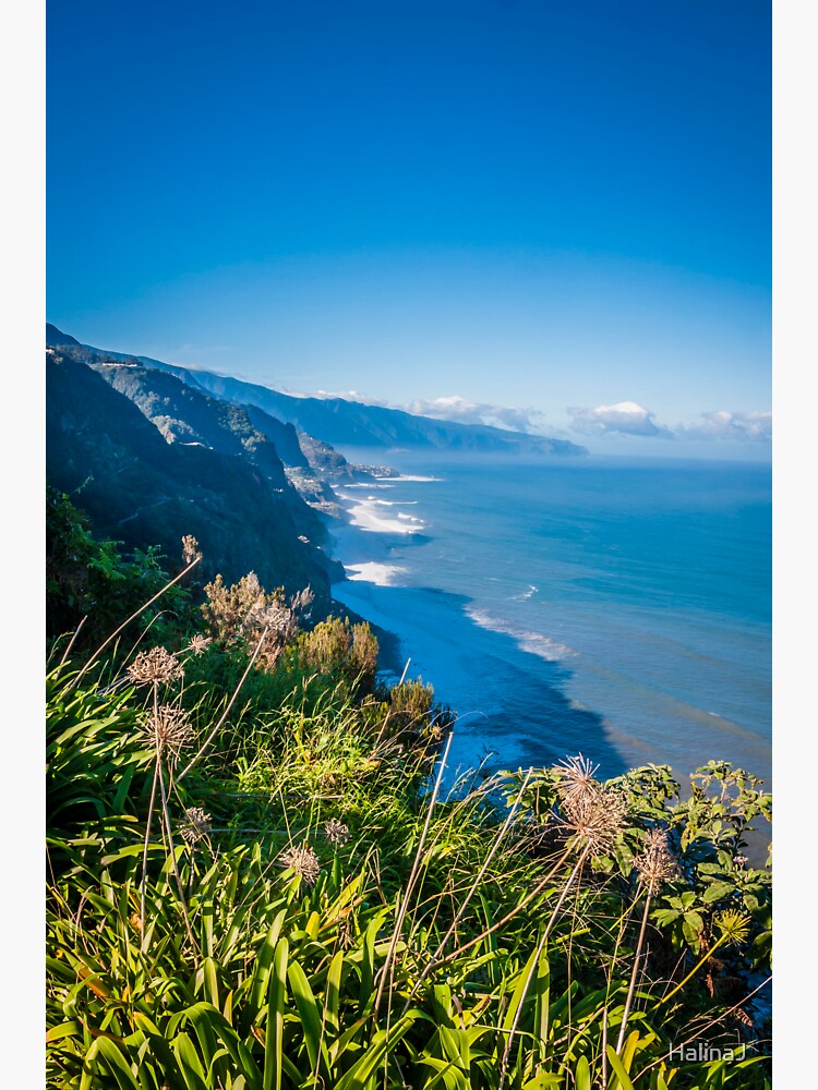 "Madeira" Sticker by HalinaJ | Redbubble