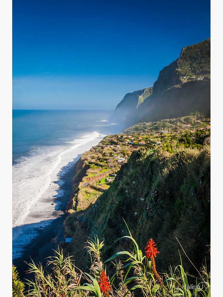 "Madeira" Sticker for Sale by HalinaJ | Redbubble