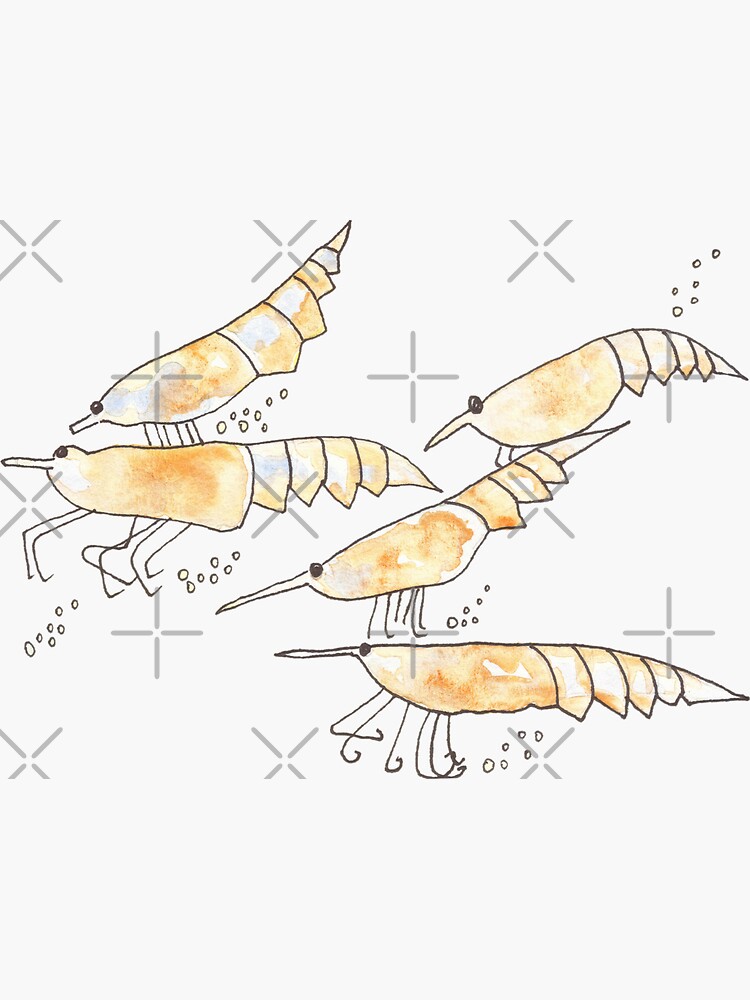"Krill Starts with K Ocean Alphabet Animals" Sticker for Sale by ...