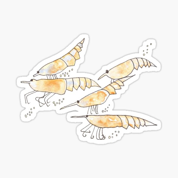 "Krill Starts with K Ocean Alphabet Animals" Sticker for Sale by ...