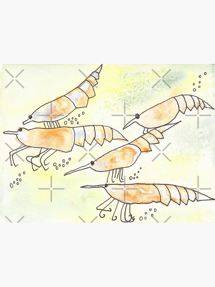 "Krill Starts with K Ocean Alphabet Animals" Photographic Print for ...