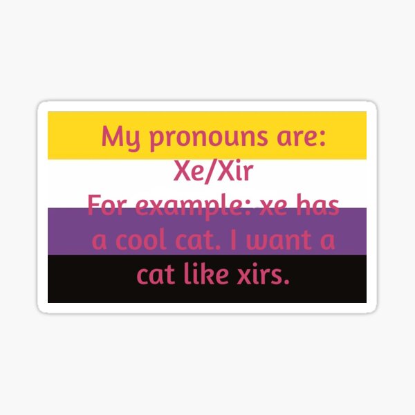 "Nonbinary flag My prnouns are xe/xir (with examples)" Sticker for Sale ...
