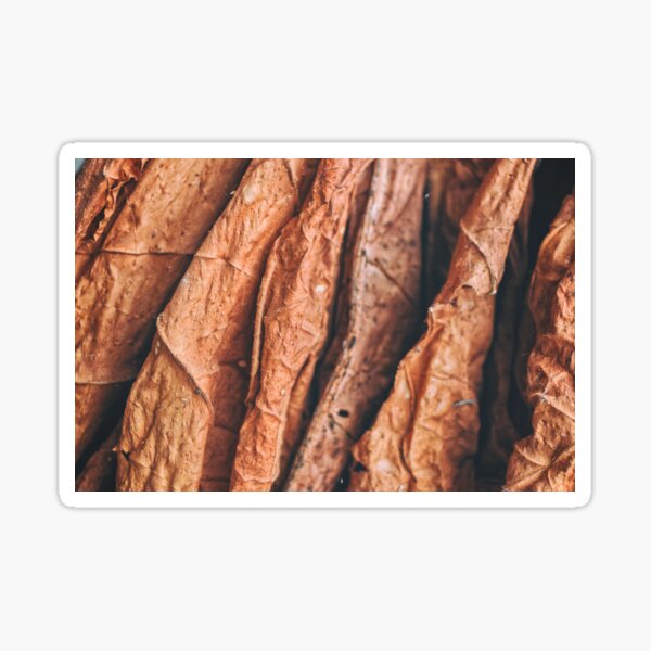 "Nicotine In The Raw" Sticker for Sale by butterbean57 | Redbubble