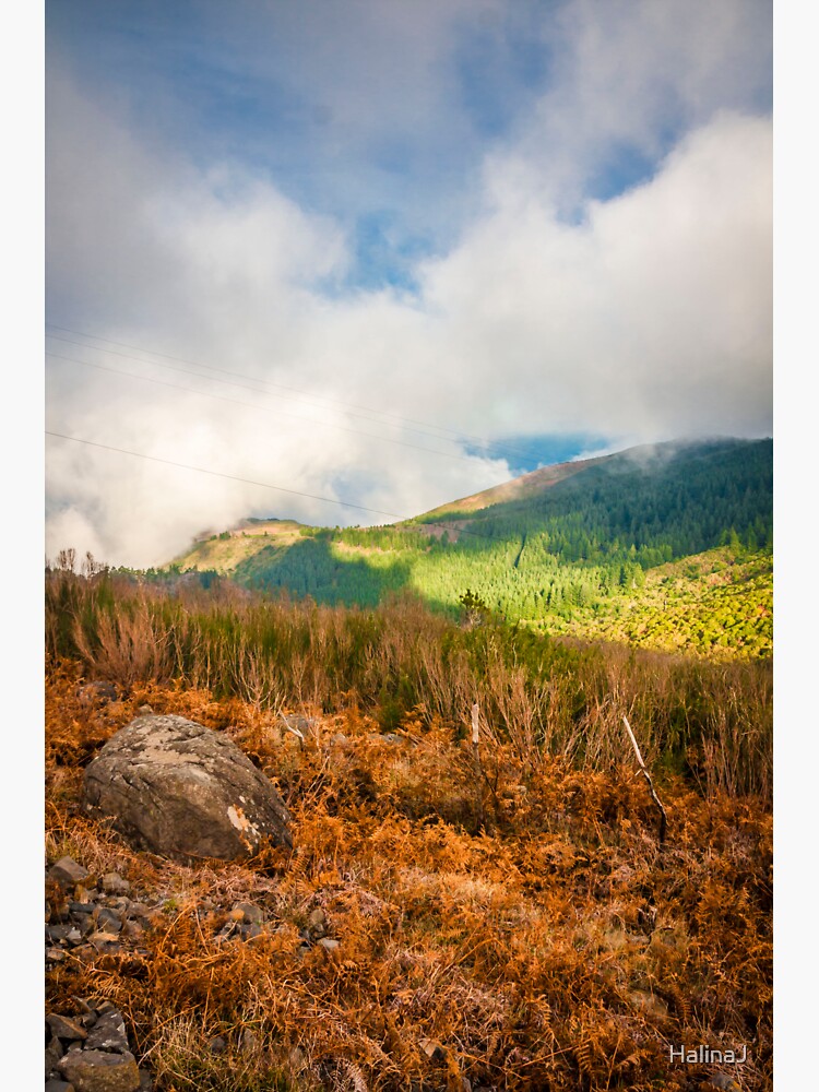"Madeira" Sticker for Sale by HalinaJ | Redbubble