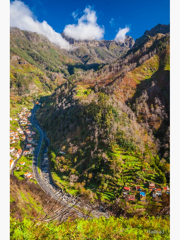 "Madeira" Sticker for Sale by HalinaJ | Redbubble