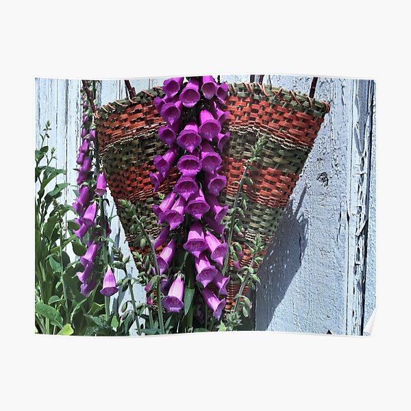 "Foxglove and Basket Weaving" Poster for Sale by WeepingGrove | Redbubble