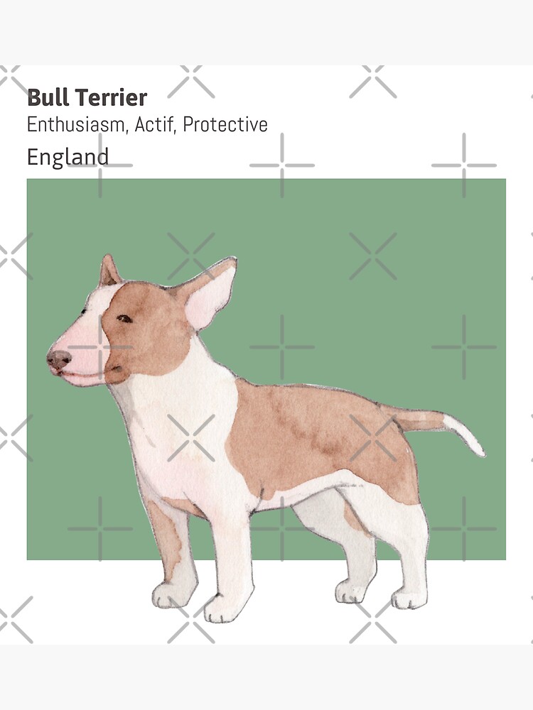 "Bull Terrier Sticker" Sticker by KarlyArtsy | Redbubble