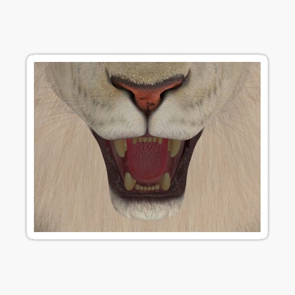 "White Lion Muzzle" Sticker by Mythos57 | Redbubble