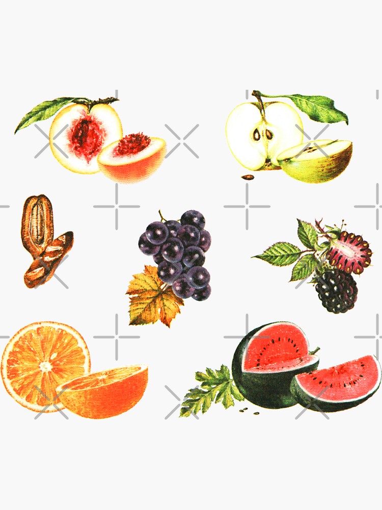 "Fruits and Berries Sticker Pack" Sticker by elevens | Redbubble
