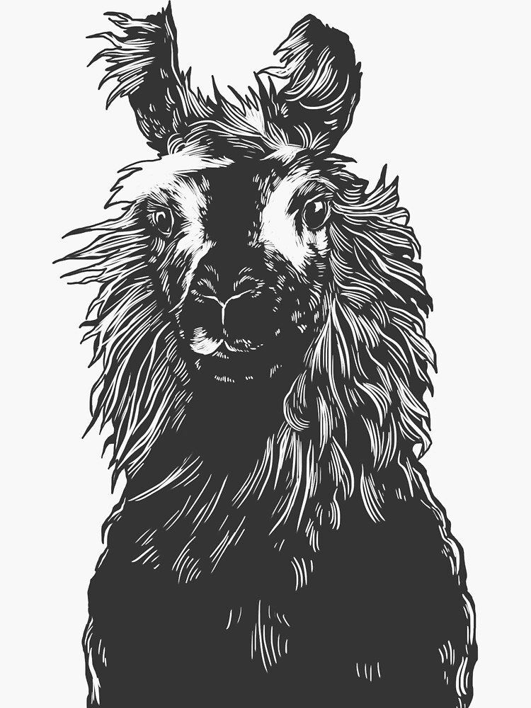 Pegatina «papel llama :: negro blanco lana fibra alpaca tina napoleón ...
