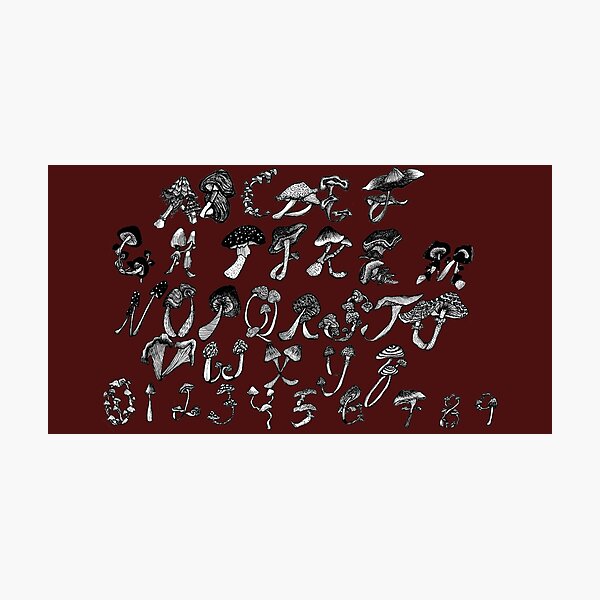 Lámina fotográfica «El alfabeto de los hongos» de MoonMaidenArt | Redbubble