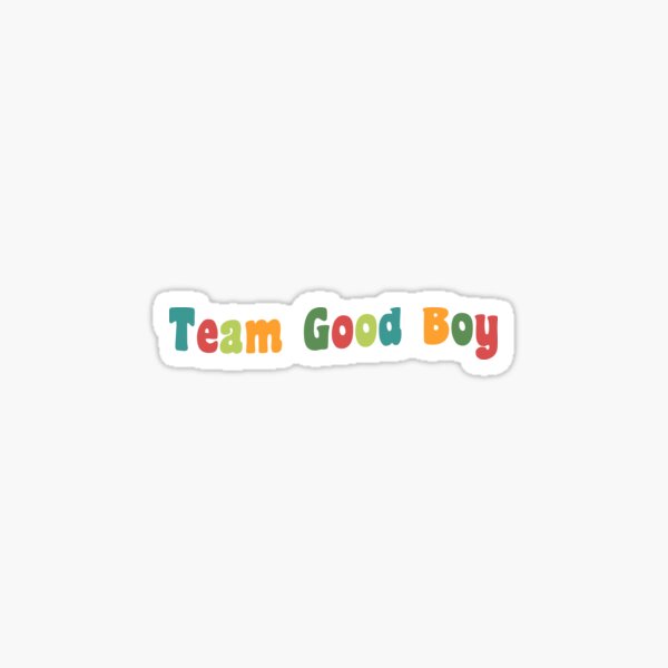 "team good boy ji-pyeong start up" Sticker for Sale by thetypo | Redbubble