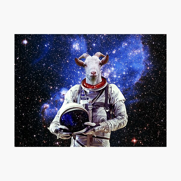 "Goat Astronaut In Space" Photographic Print by Doge21 | Redbubble