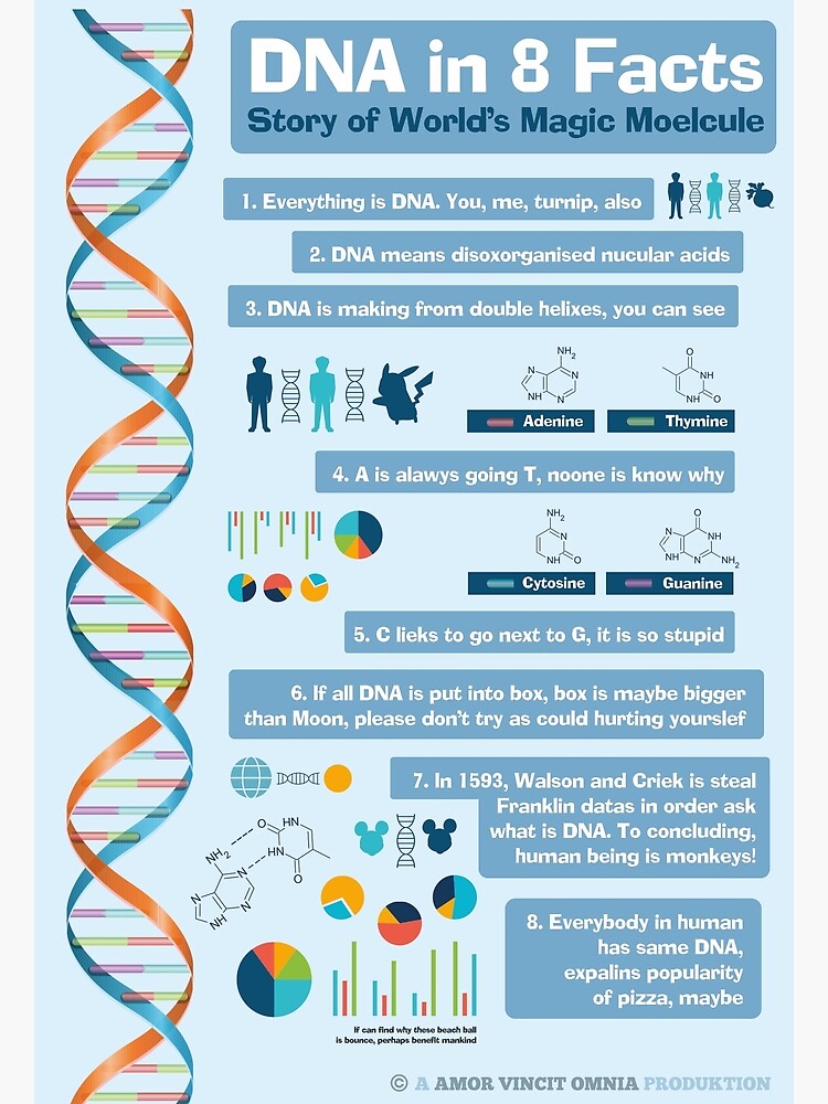 "DNA Facts Poster" Poster for Sale by mbalax | Redbubble