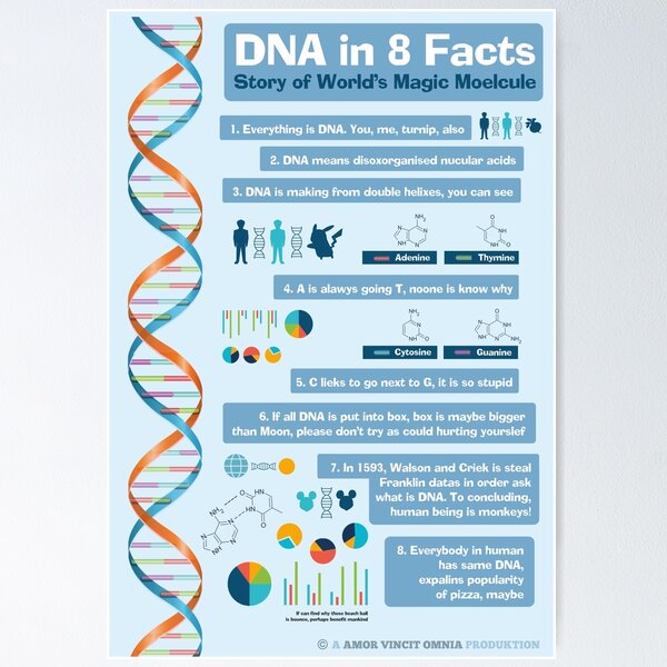 "DNA Facts Poster" Poster for Sale by mbalax | Redbubble