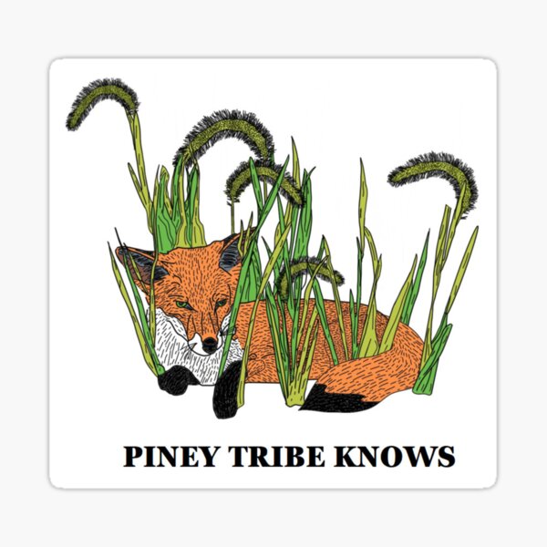 "Piney Tribe Knows" Sticker for Sale by Pineytribe | Redbubble