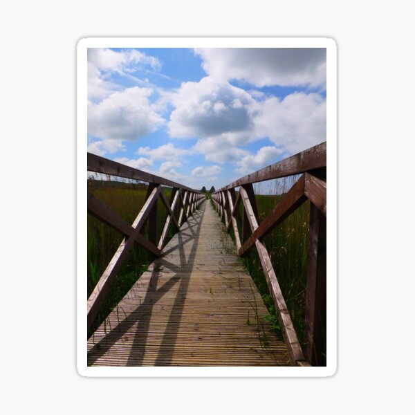 "Wood Pathway" Sticker for Sale by CraigWatt | Redbubble