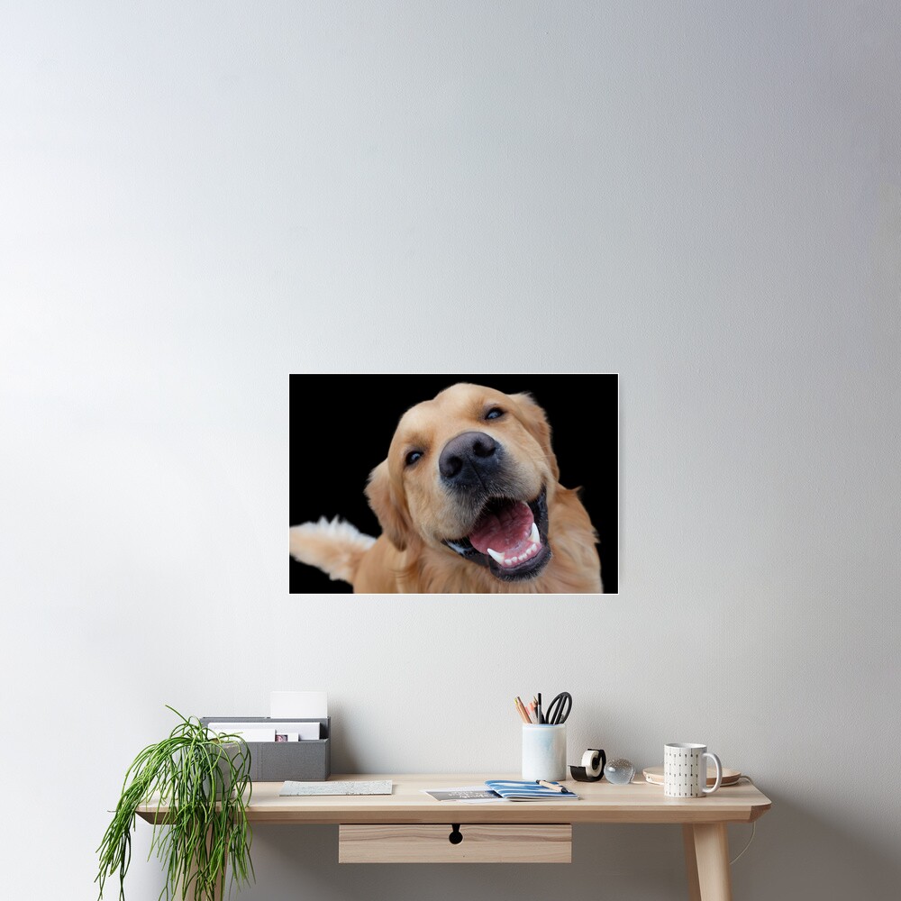 "happy doggo" Poster by bradaroni | Redbubble