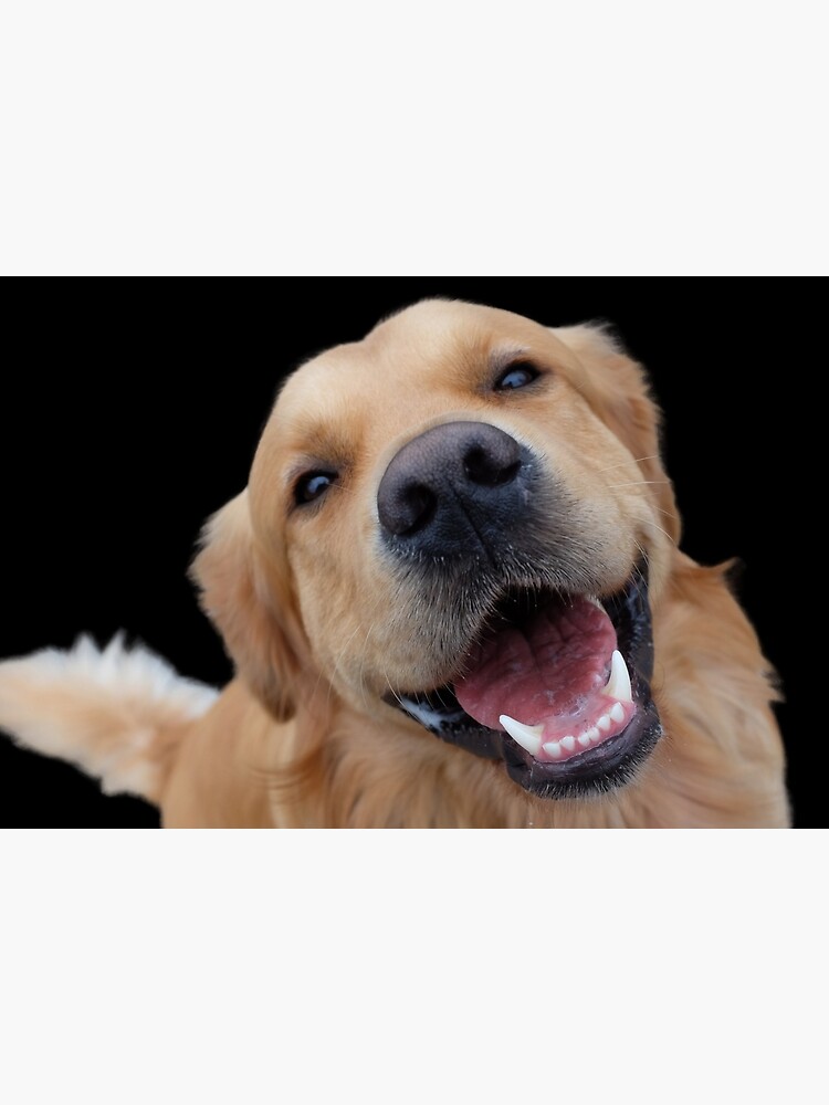 "happy doggo" Poster by bradaroni | Redbubble