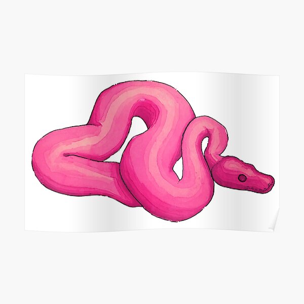 Póster «Pitón bola albina en rosa fuerte» de ellieerken18 | Redbubble