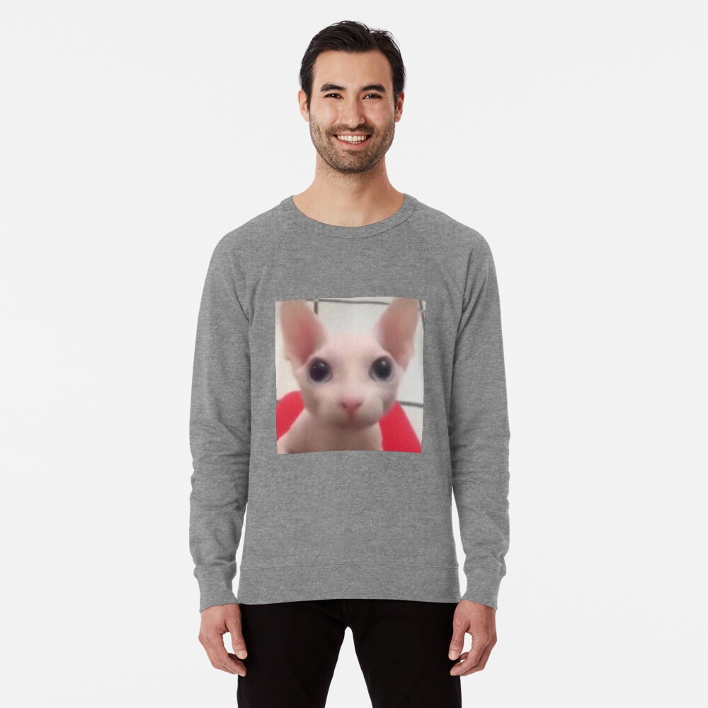 "bingus!" Pillow for Sale by jamespadgett | Redbubble