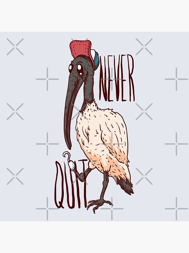 "Never Quit - Bin Chicken | Aussie Trash Bird | White Ibis | Tip Turkey ...