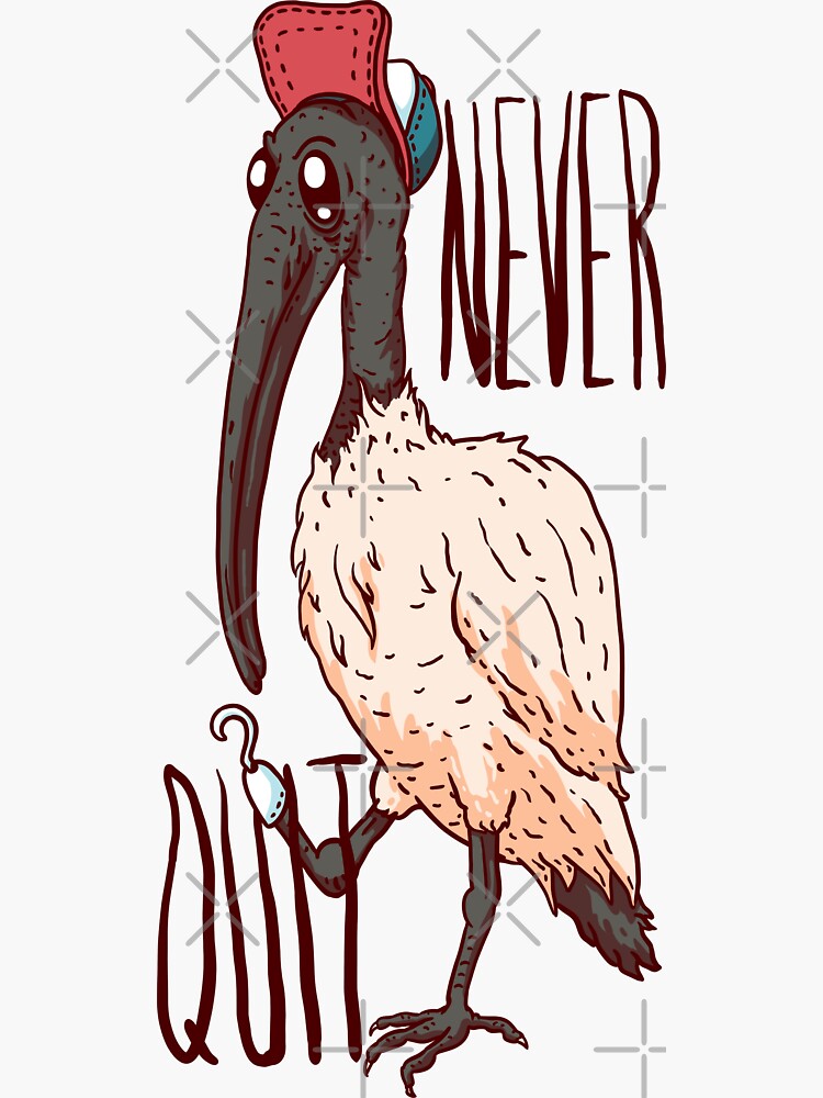 "Never Quit - Bin Chicken | Aussie Trash Bird | White Ibis | Tip Turkey ...