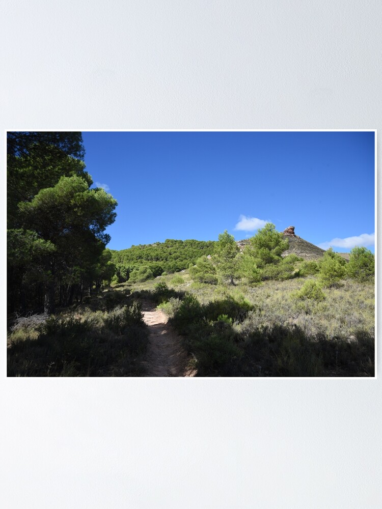 "Path" Poster by javipfotos | Redbubble