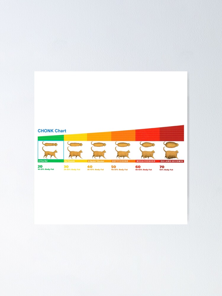 "Chonk Chart Cat Meme " Poster for Sale by Merch-On | Redbubble