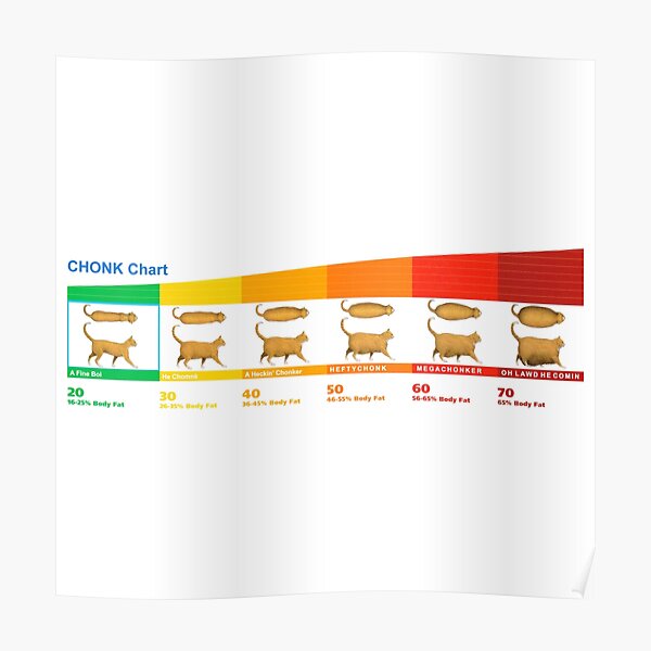 "Chonk Chart Cat Meme " Poster for Sale by Merch-On | Redbubble