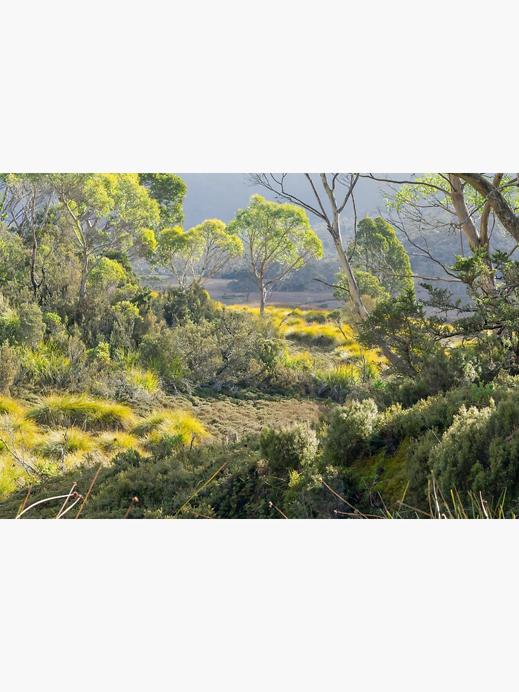 "Tasmanian Landscape" Sticker by decoaddict | Redbubble